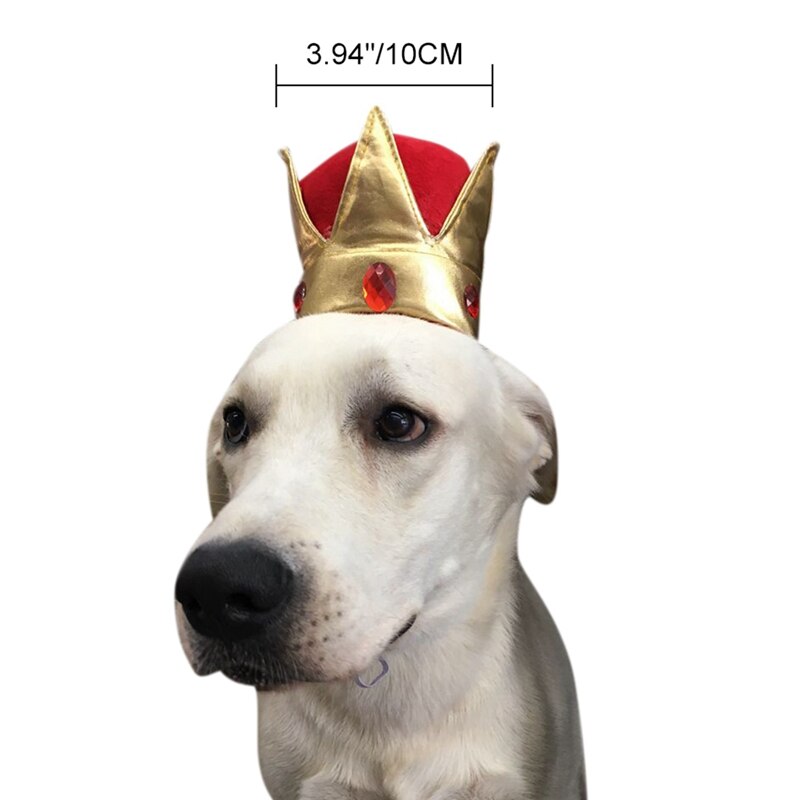 Little King Queen Cosplay Party Decor Pet Product ... – Grandado