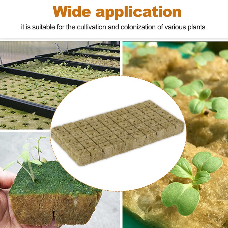 50/300Pcs Cube Rock Wool Starter Plugs Planting Bl... – Grandado