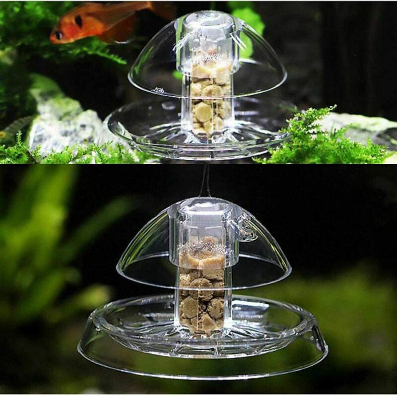 Plastic Clear Snail Trap Catcher Aquarium Fish Tan... – Vicedeal