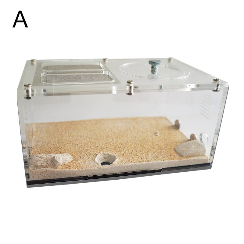 Ant house pet ant nest original ecological concret... – Vicedeal Ant house pet ant nest original ecological concret... – Vicedeal