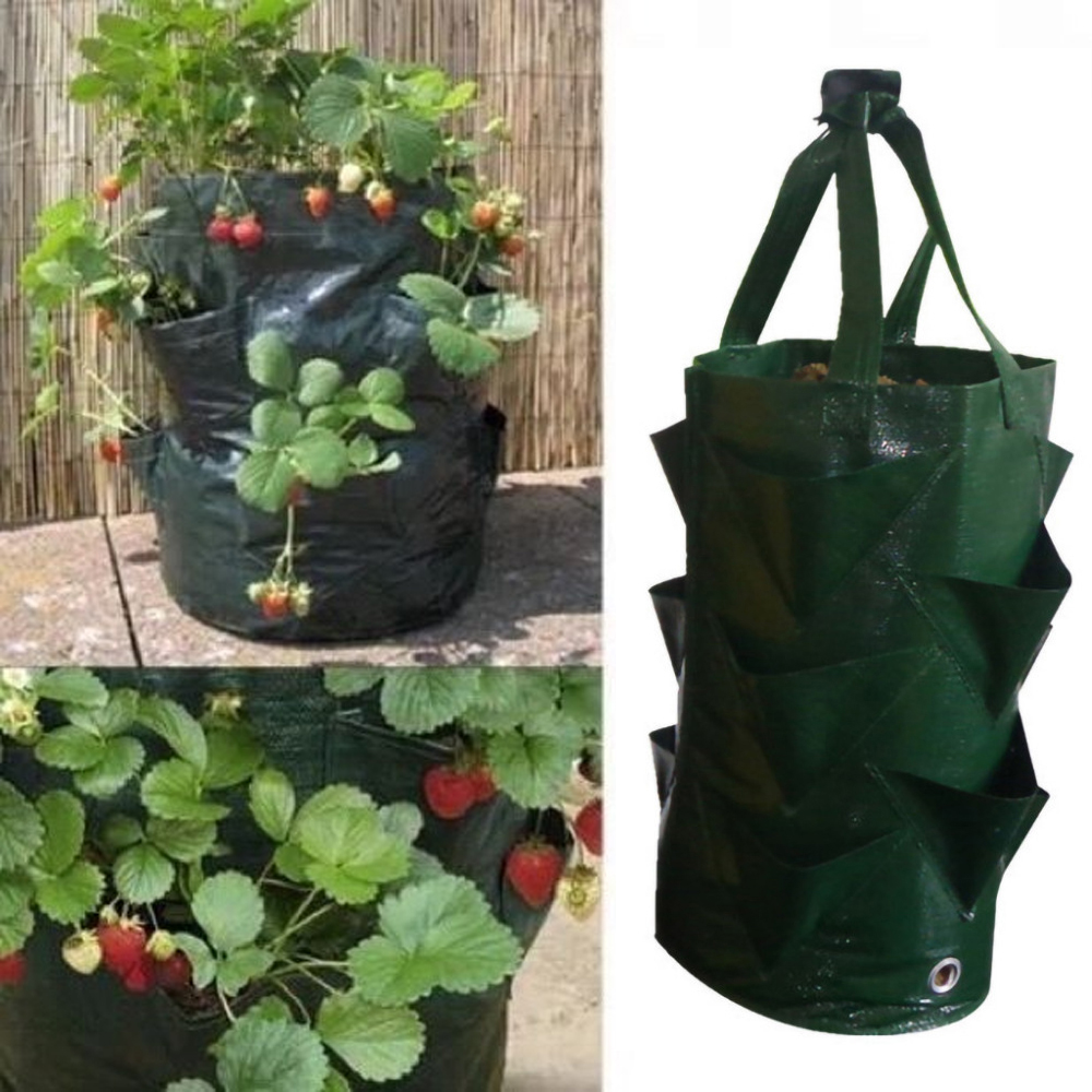 Aardbei Planten Groeiende Tas 3 Liter Multi-Mond C... – Vicedeal