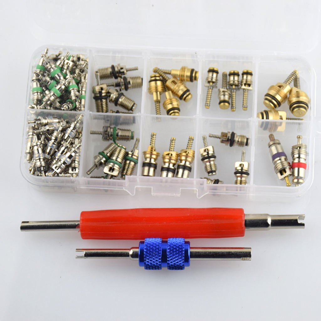 102pcs AC Shrader Valve Core And Disassembly Tool ... – Grandado