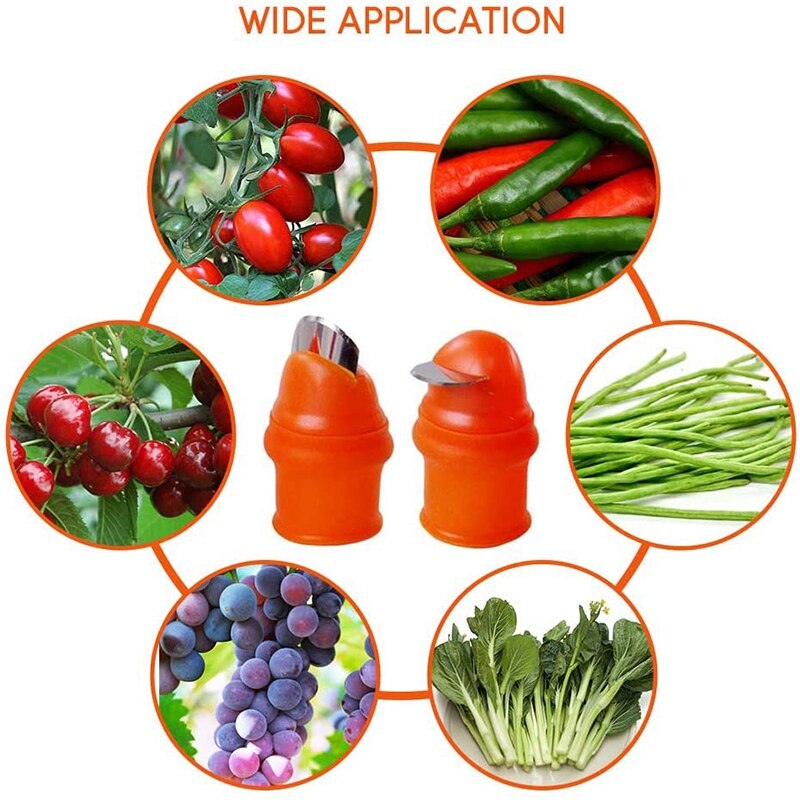 10 Silicone Thumb Tools for Gardening, with Cut-Re... – Grandado