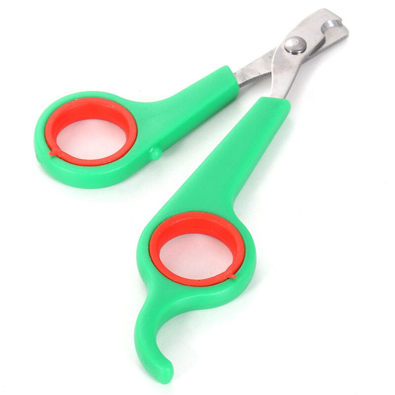 Neglesaks tang små kæledyr hund kat klo pleje grøn – Grandado