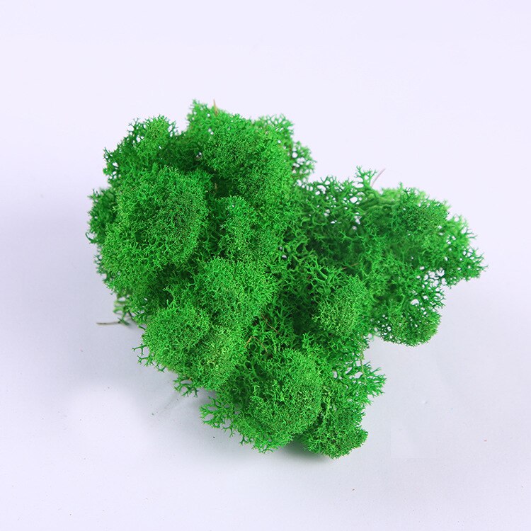 10g Artificial Plant Eternal Life Moss Wall DIY Fl... – Grandado