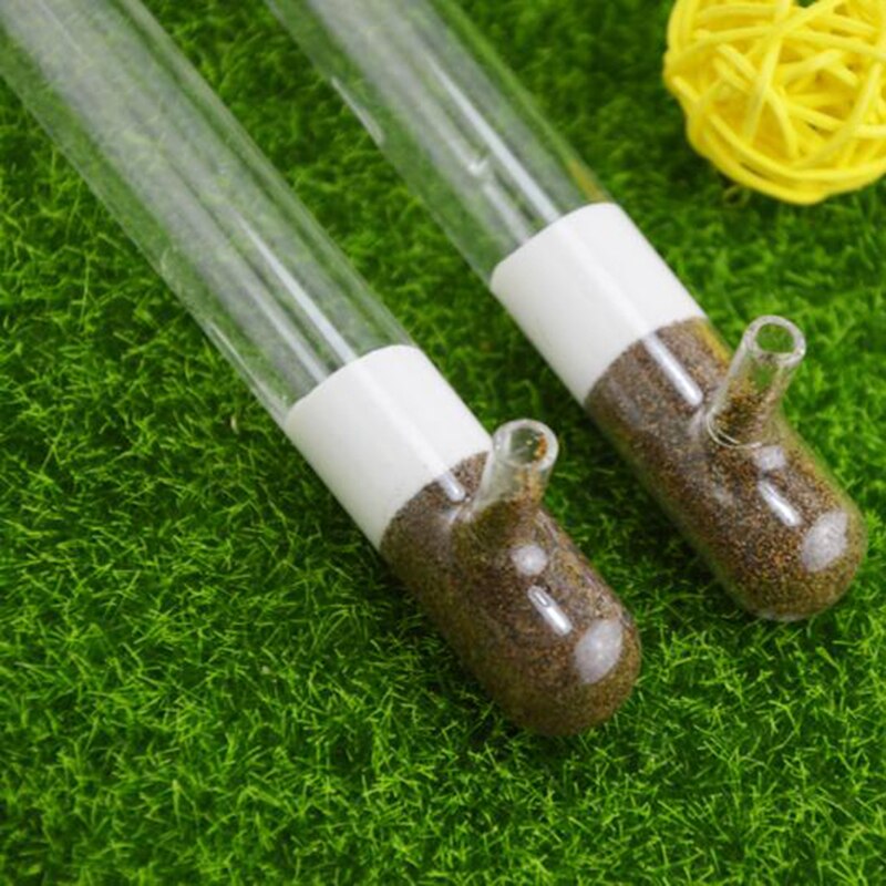 Acrylic Double Test Tube Ant Nest Transparent Acti... – Vicedeal