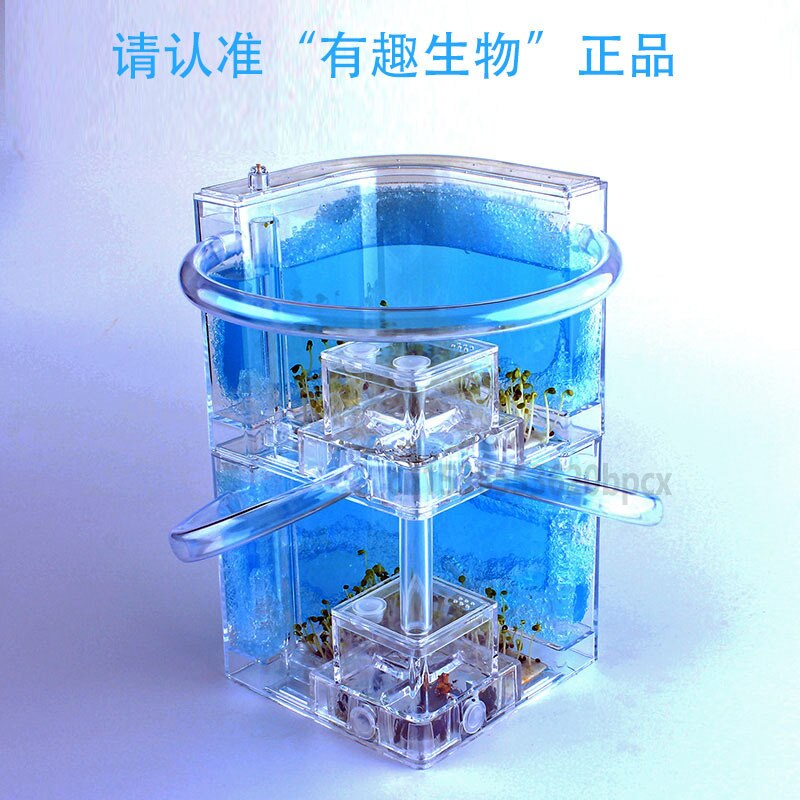 Double-layer Ant Cage Acrylic Ant Workshop Undergr... – Grandado