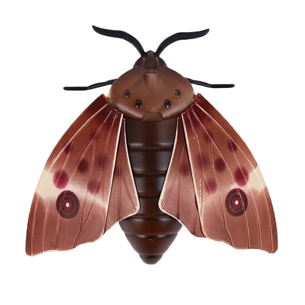 Children Tricky Toys Infrared Induction Electric R... – Grandado