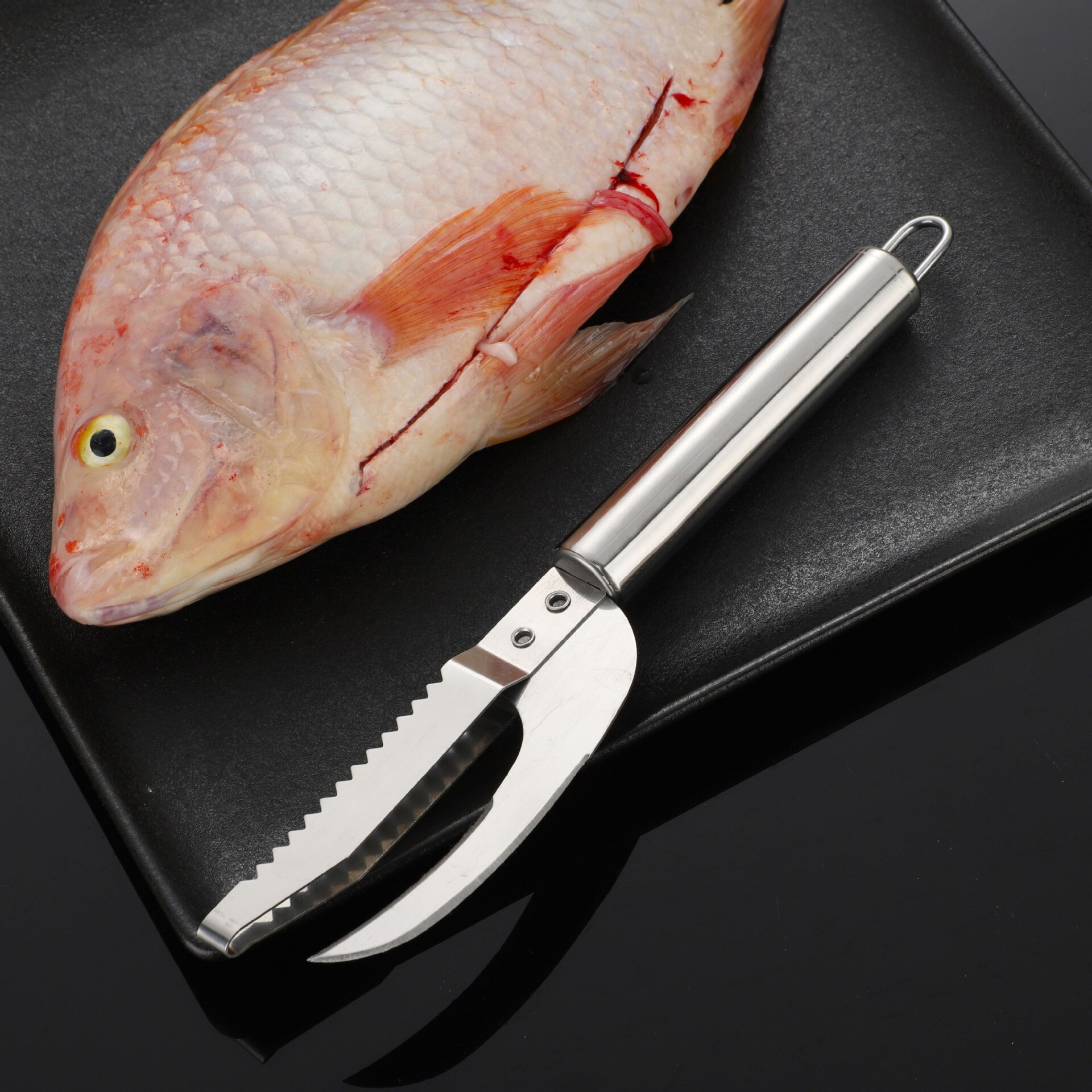 Fish Scales Scraping Stainless Steel Kitchen Fish ... – Vicedeal