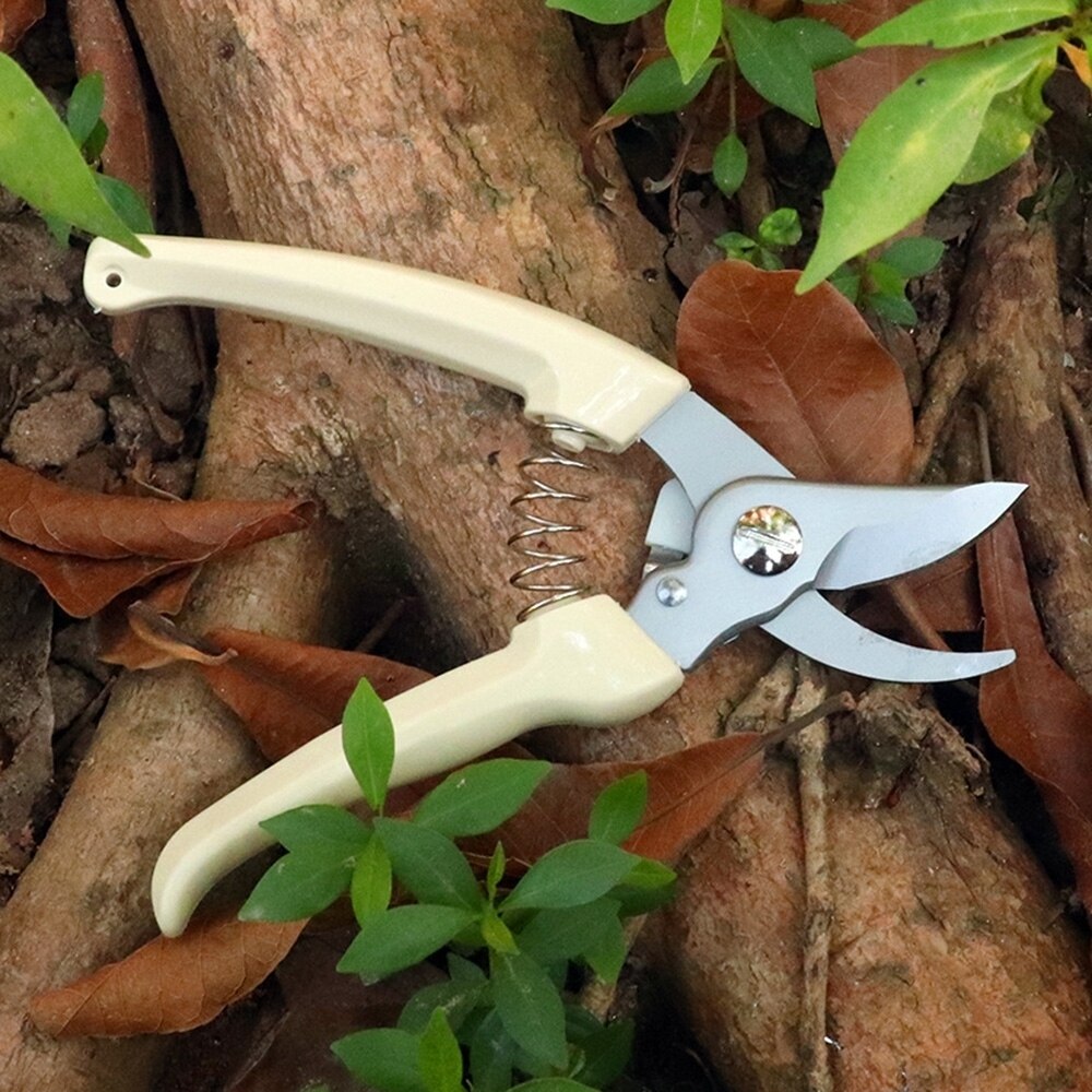 Pruner Orchard and The Garden Hand Tools Bonsai Fo... – Grandado