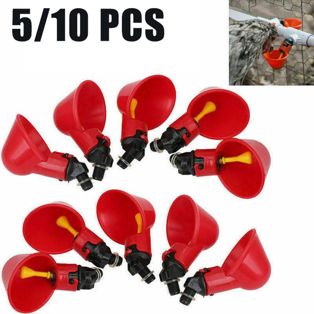 5/10 pcs/lot Automatic Chicken Quail Drinker Chick... – Vicedeal