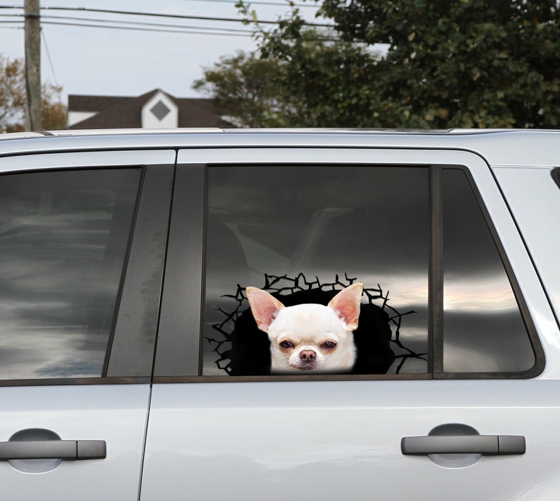 Autocollant de voiture chihuahua drôle, autocollan... – Grandado