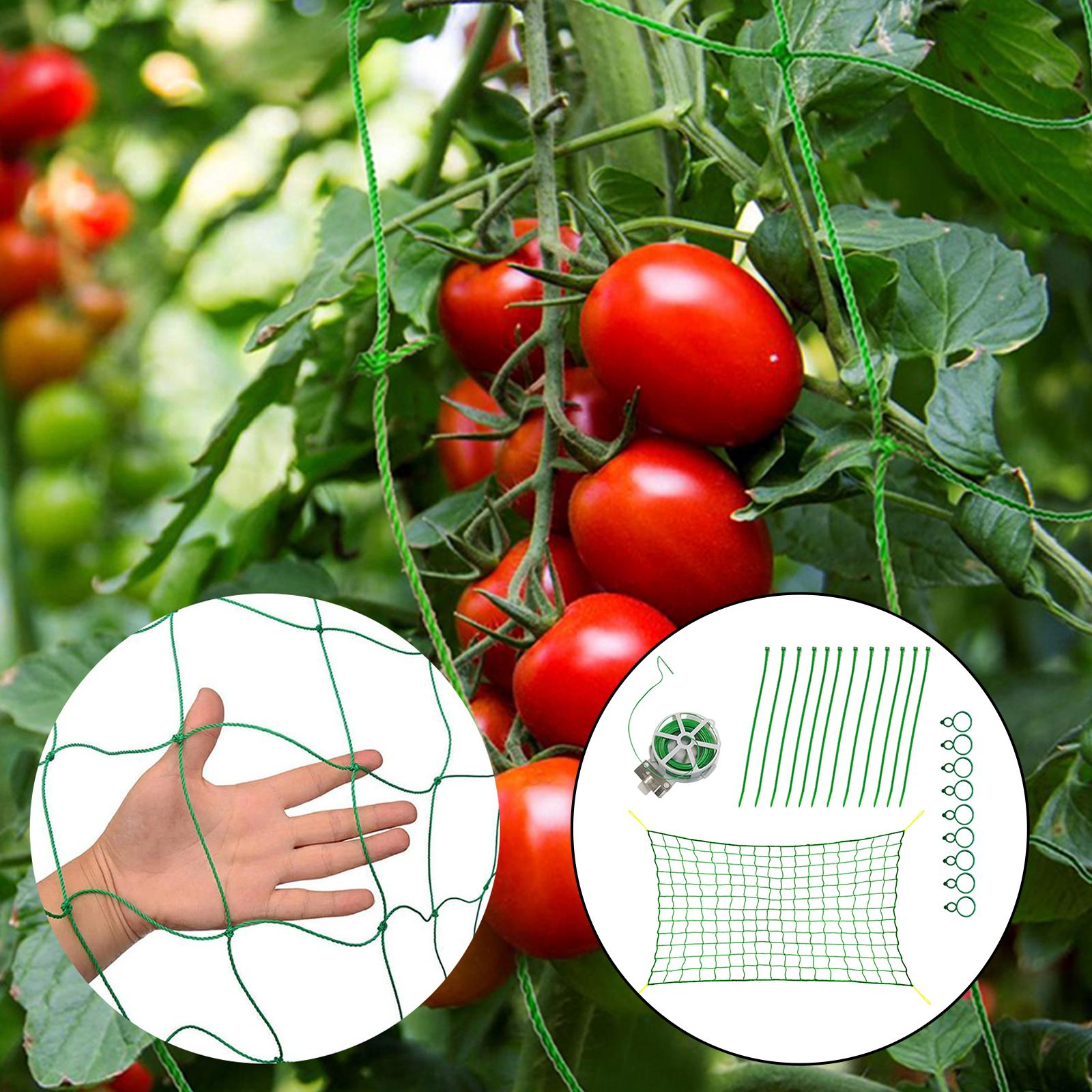 Plant Trellis Netting Flexibele Elastische Groeien... – Grandado