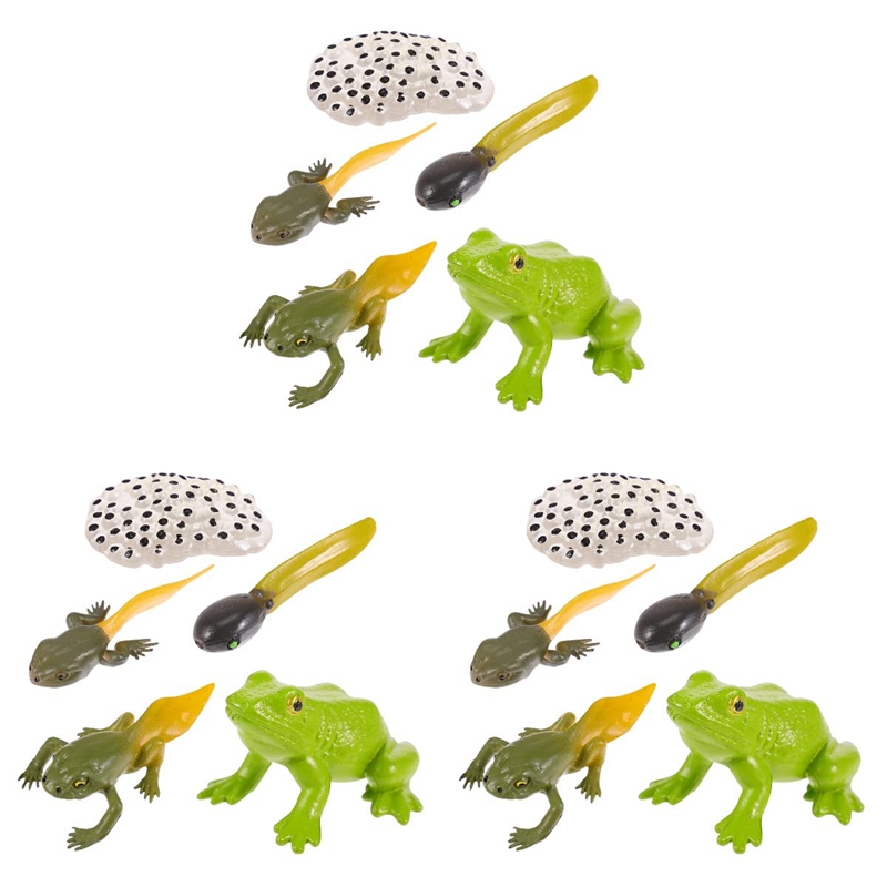3 Sets Simulation Frog Life Cycle Figures Growth S... – Grandado