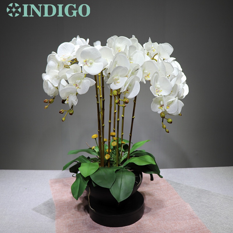 INDIGO - 3D Printing Petals Phalaenopsis White Orc... – Grandado