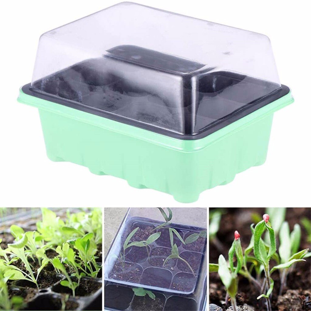 12 Cell Plug Propagation Box Kit Dome + Tray + Ins... – Grandado