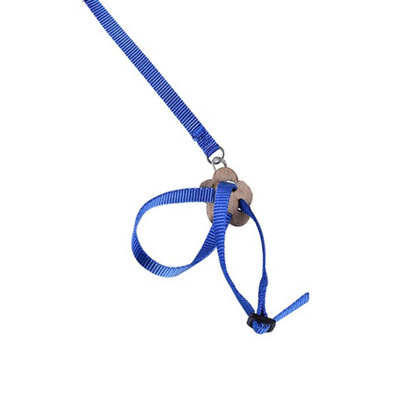 Pet Parrot Bird Harness Traction Rope Flight Train... – Grandado