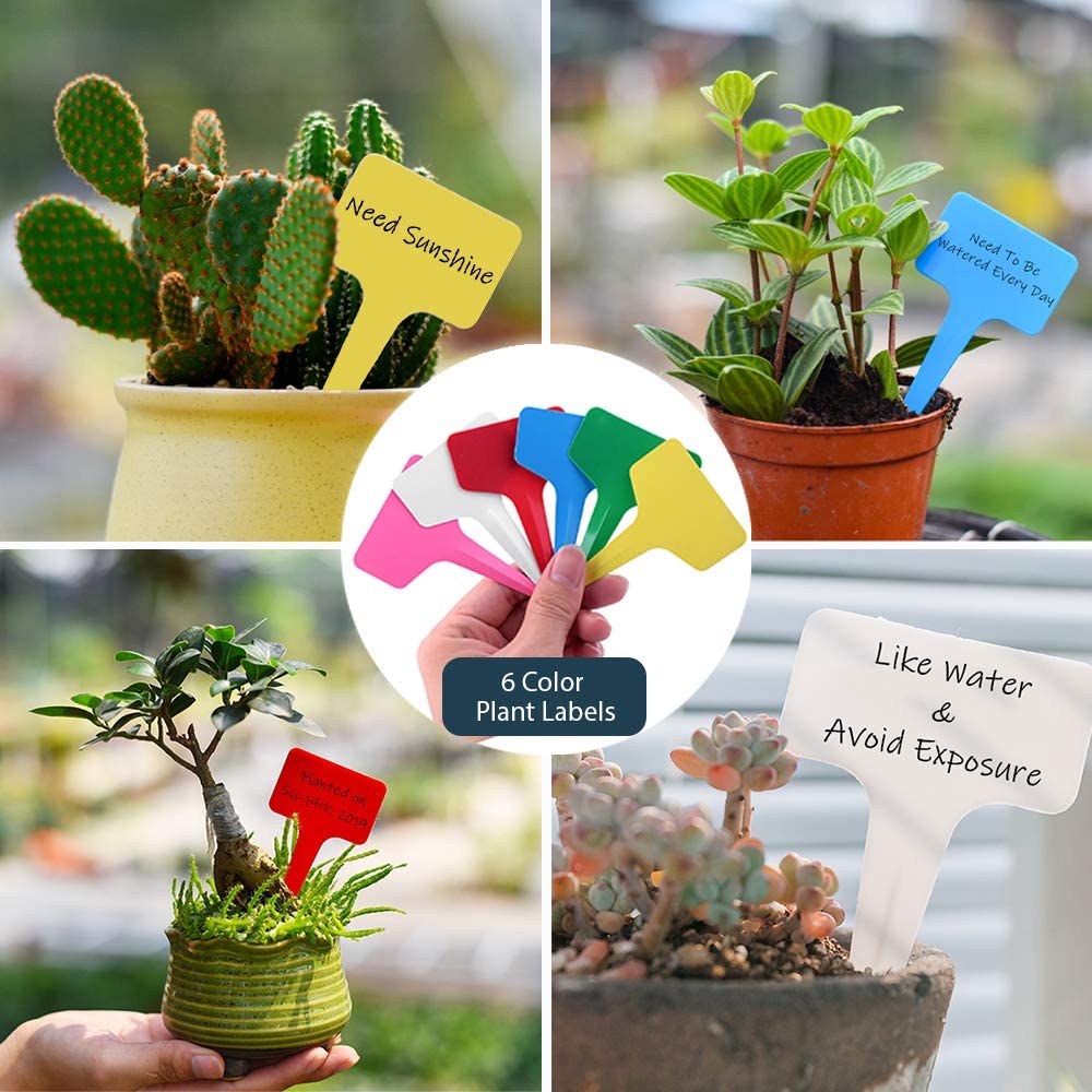 50/ 100/ 500PCS Plastic Plant Labels 2.4" x 4"/ 6x... – Grandado