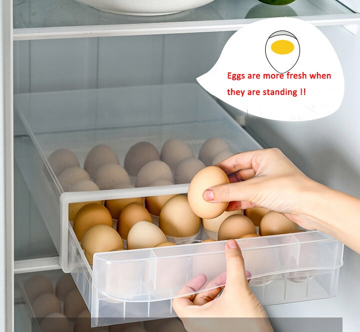 Household 60 Lattice Egg Box Refrigerator Kitchen ... – Grandado