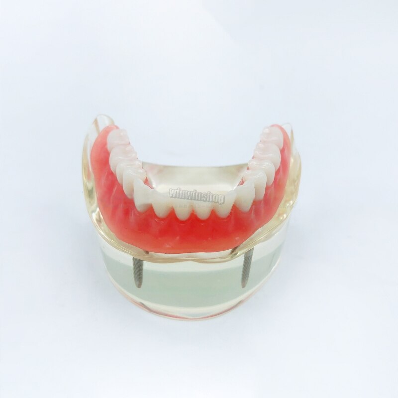 Two types of doctor-patient teaching models with e... – Vicedeal