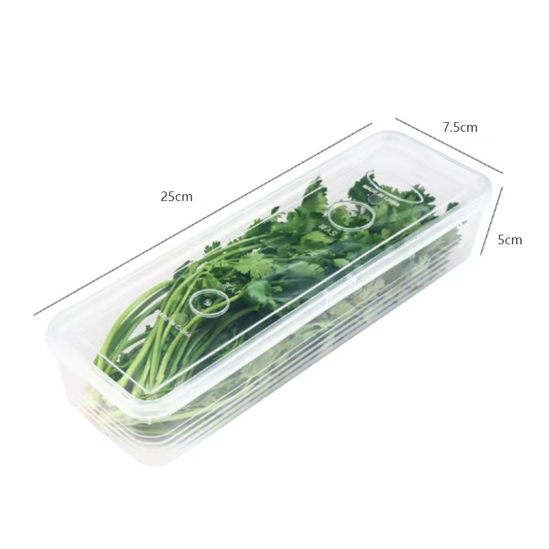 Refrigerator Fresh-keeping Organizer Boxes Vegetab... – Grandado