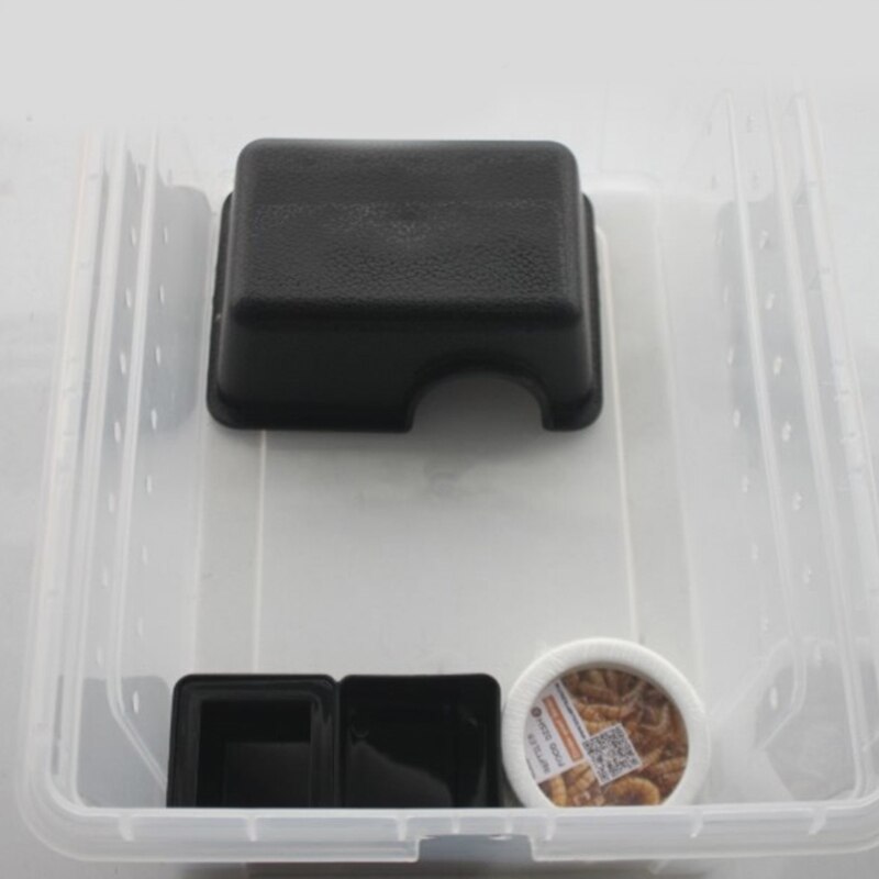 K5DC Reptile Hideout Box Small Animal Hide Cave Pe... – Grandado