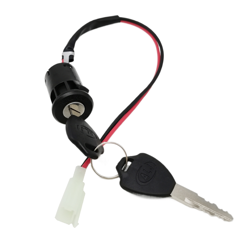 Electric tricycle accessories Electric door lock P... – Grandado