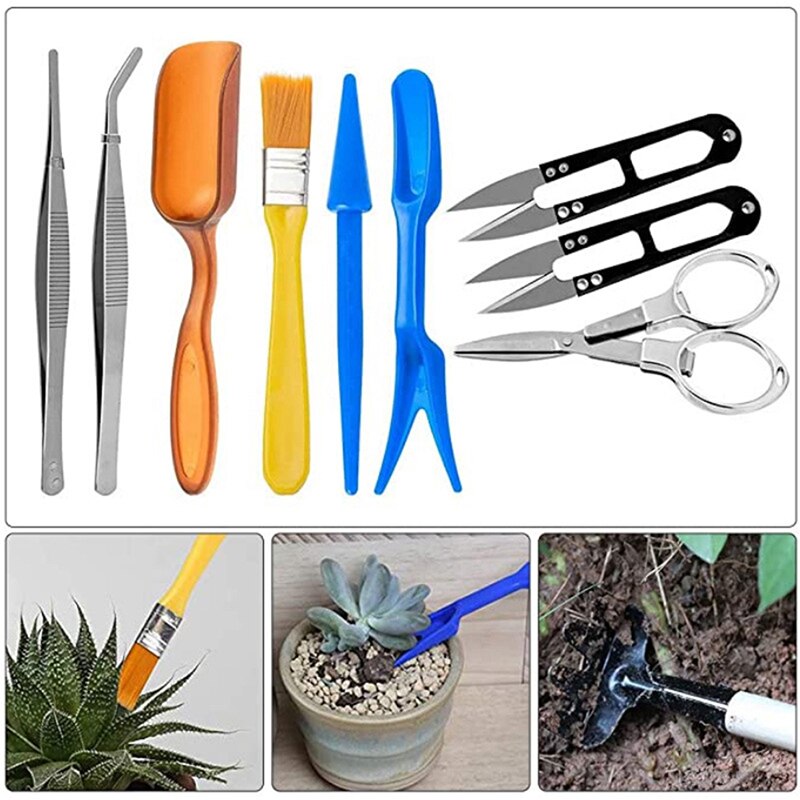 Mini Garden Hand Succulent Plants Tool Transplanti... – Vicedeal