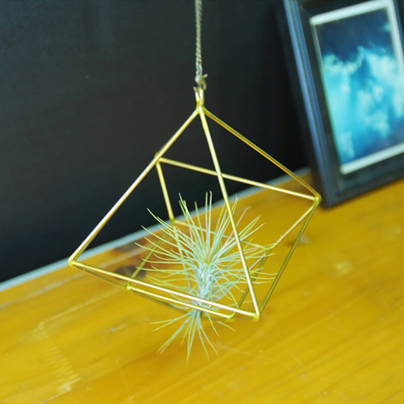 Geometric Hanging Wall Decorations Air Plant Flowe... – Grandado