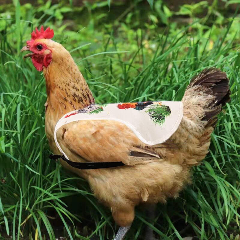 Hen Apron Chicken Duck Vest Chicken Clothes Poultr... – Grandado