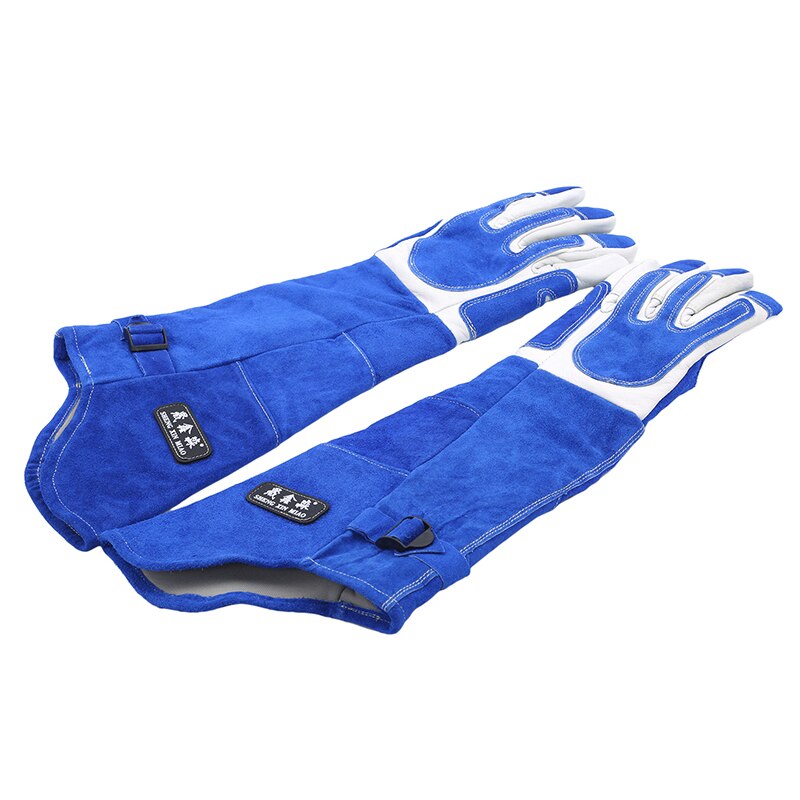 Leather Animal Handling Training Pet Gloves Rescui... – Vicedeal