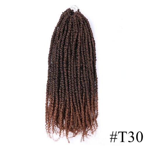 Aigemei Crochet Braiding Hair Pre-Passion Twist Br... – Grandado