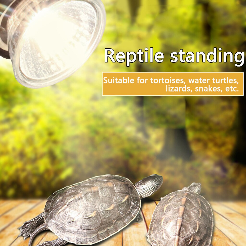 Reptile Warm Light Lamp Set UVA UVB Flexible Clamp... – Grandado