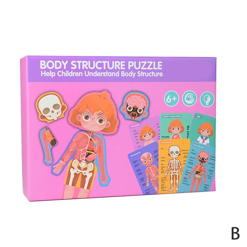 Children's Body Structure Puzzle Training Hand... – Grandado