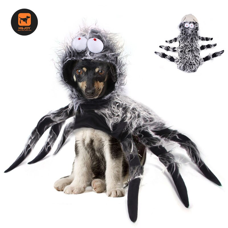 Halloween Hond Kostuum Spider Hond Kleding Overall... – Vicedeal