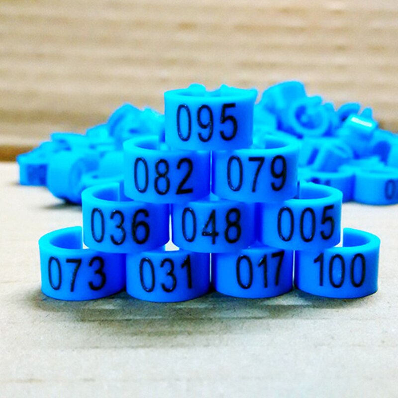 100PC Pigeon Rings Colorful Foot Ring Bird Managem... – Grandado
