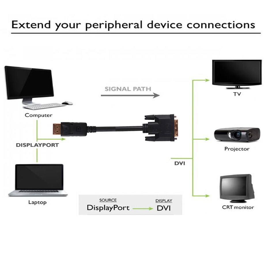 6ft 1.8M Displayport dp to DVI cable adapter displ... – Vicedeal