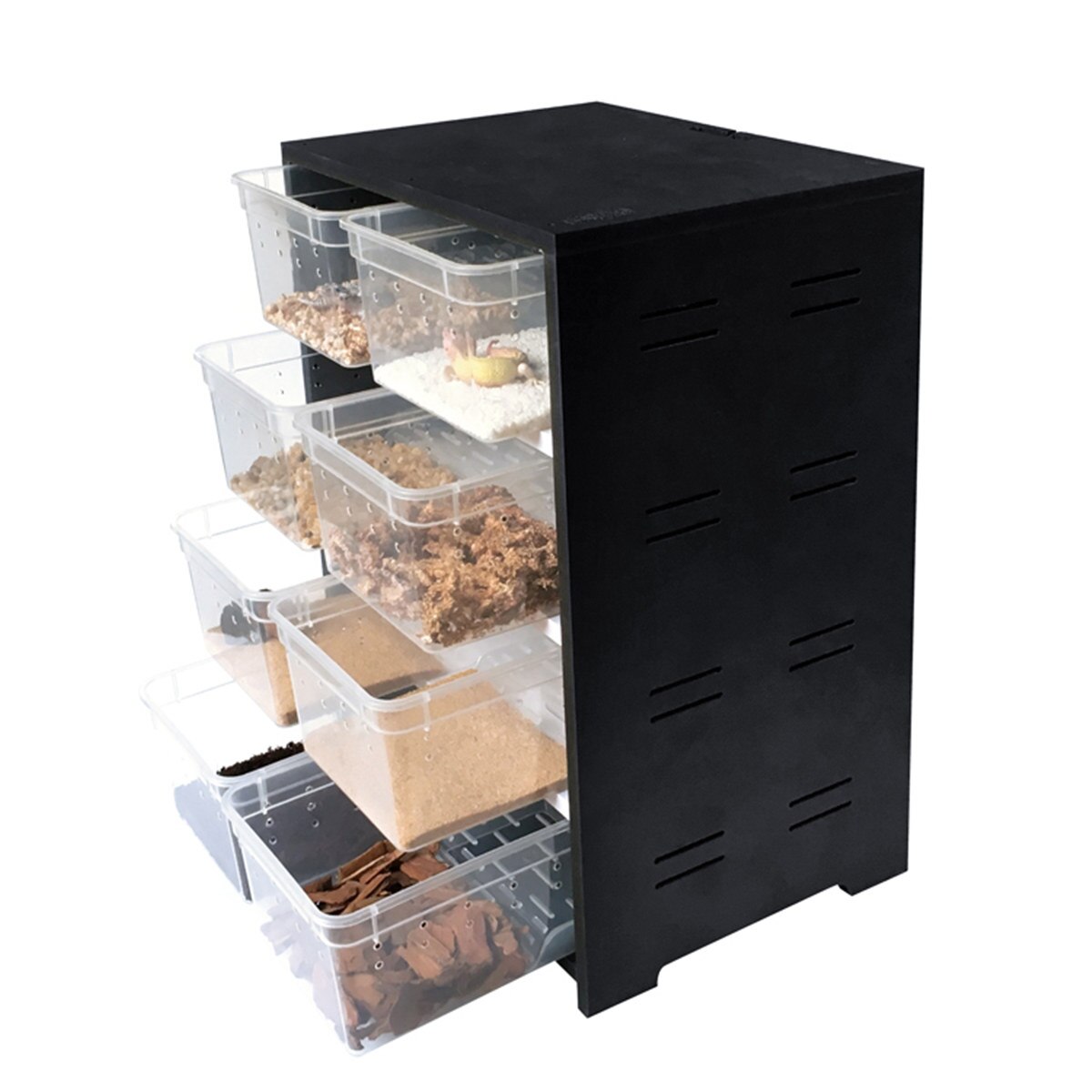 Pet Reptiles Acrylic Feeding Box Terrarium 4 Layer... – Grandado