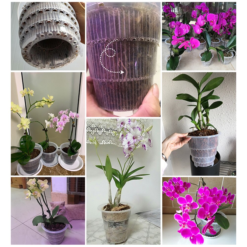 Resin Root Control Orchid Flower Mesh Pot Transpar... – Grandado