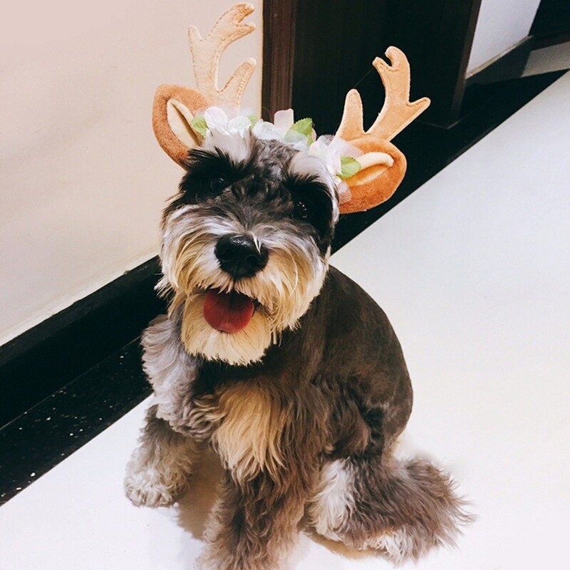 Micatale Xmas Hoed Hond Kat Kerst Hoofddeksels Ker... – Vicedeal