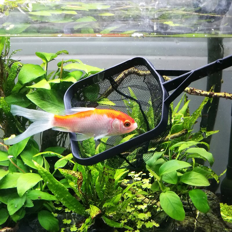 Fishing Net Square Hand Net For Goldfish Household... – Grandado