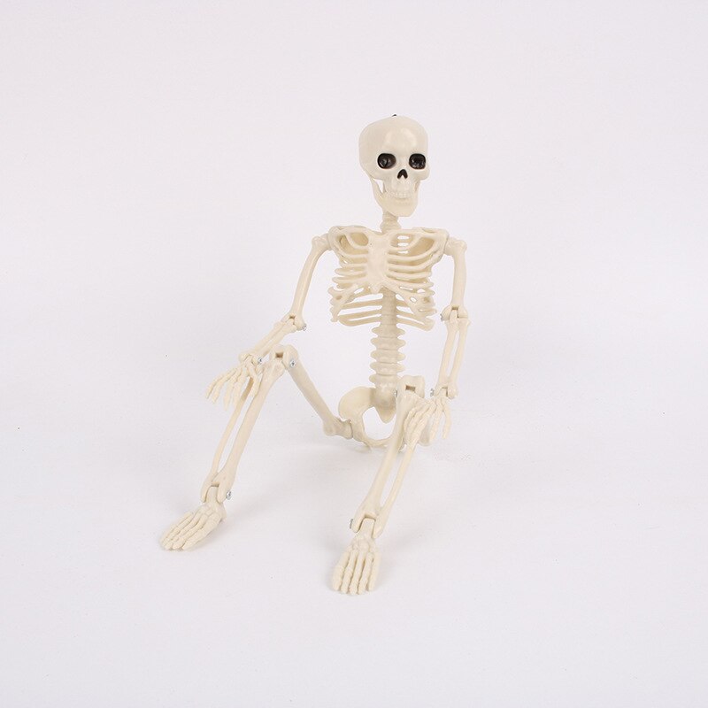 Plastic Lifelike Popular Full Life Size Human Skel... – Grandado