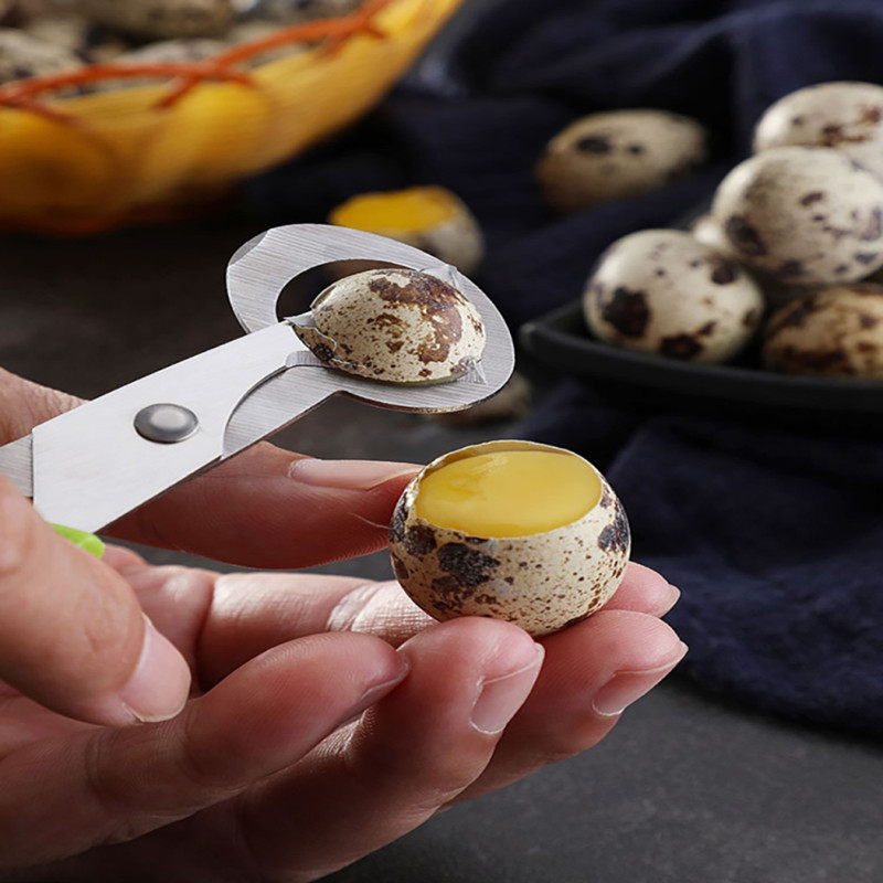 Stainless Steel Quail Egg Shell Opener Eggshell Sh... – Grandado