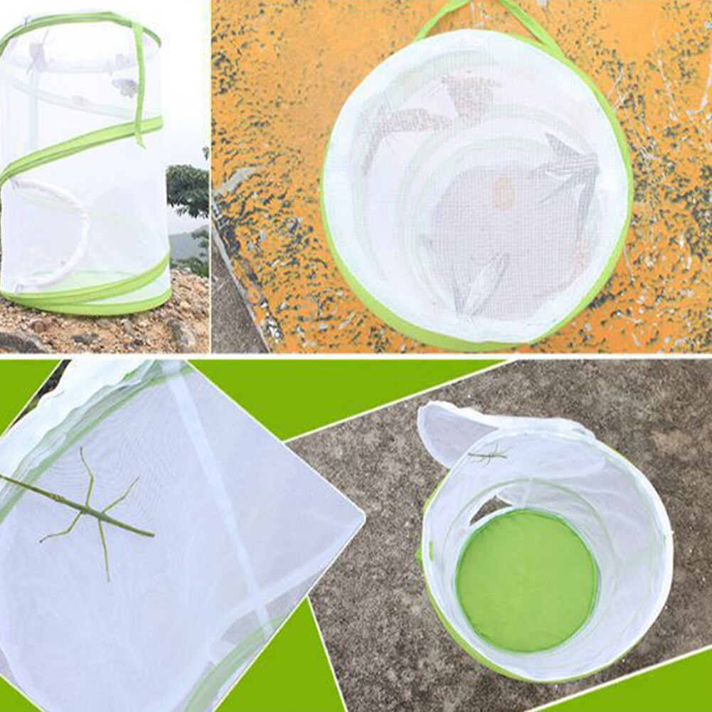 Vouwen Insect Mesh Kooi Vlinder Dragonfly Mantis A... – Grandado