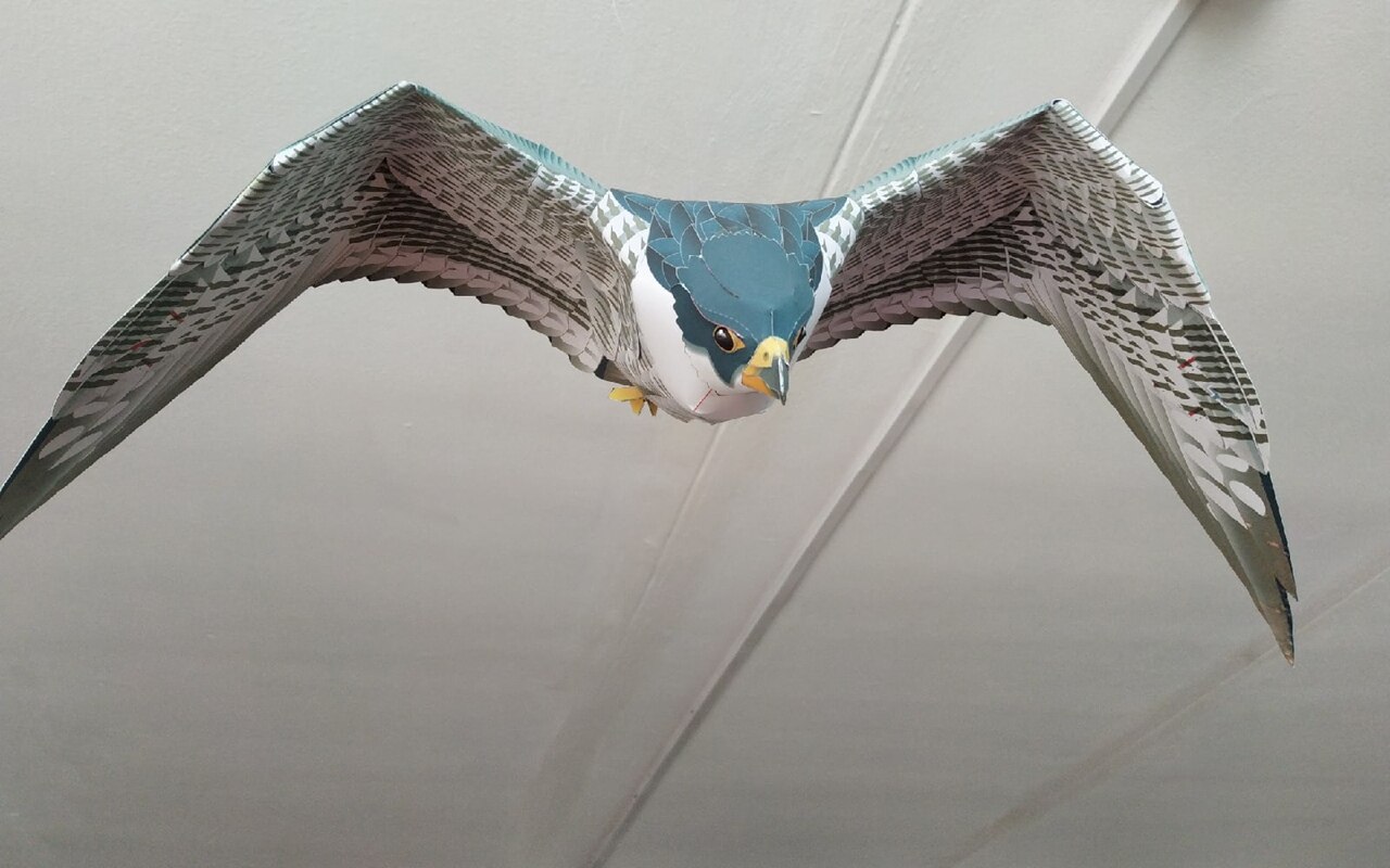 Huge Falcon3D Eagle Hawk Paper Model Toy Home Deco... – Grandado