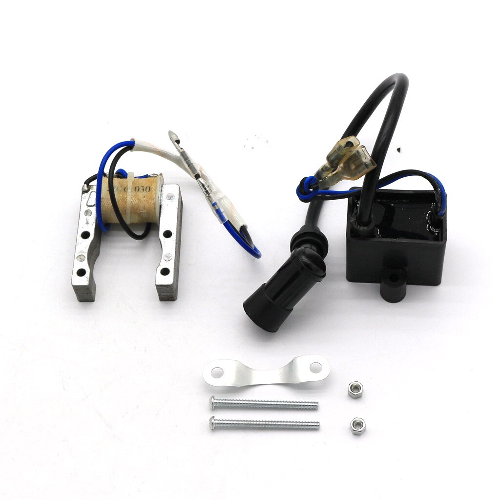 CDI Ignition Coil & Magneto 50cc 60cc 66cc 80cc 2-... – Vicedeal