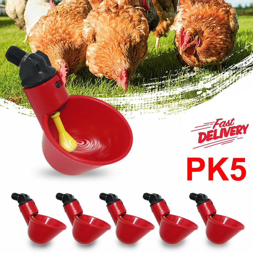 Duif Drinkbeker Automatische Drinker Kip Feeder Pl... – Grandado