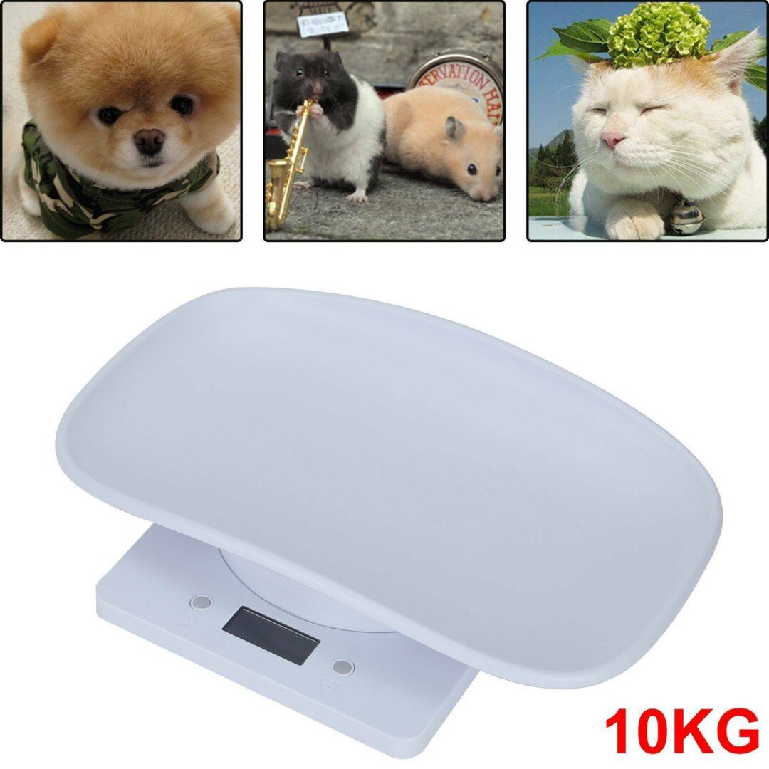 1pc Mini Digital Scale Pet Electronic Weighing Sca... – Vicedeal