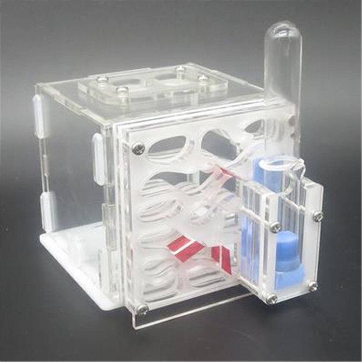 1 Set Acryl Ant Nest Behuizing Grote Formicarium V... – Vicedeal
