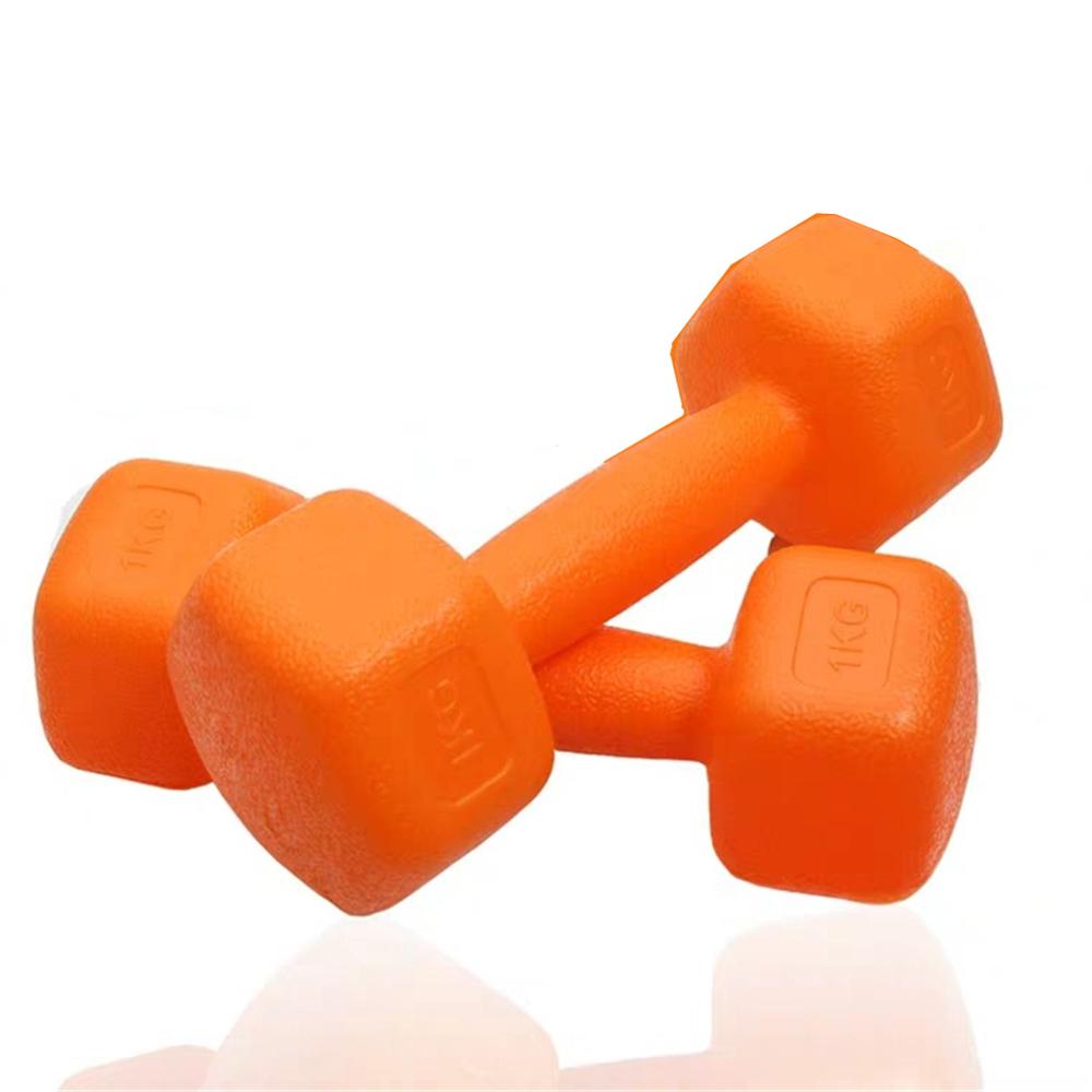 1 KG Dumbbells Gym Weights Fitness Equipment for B... – Vicedeal